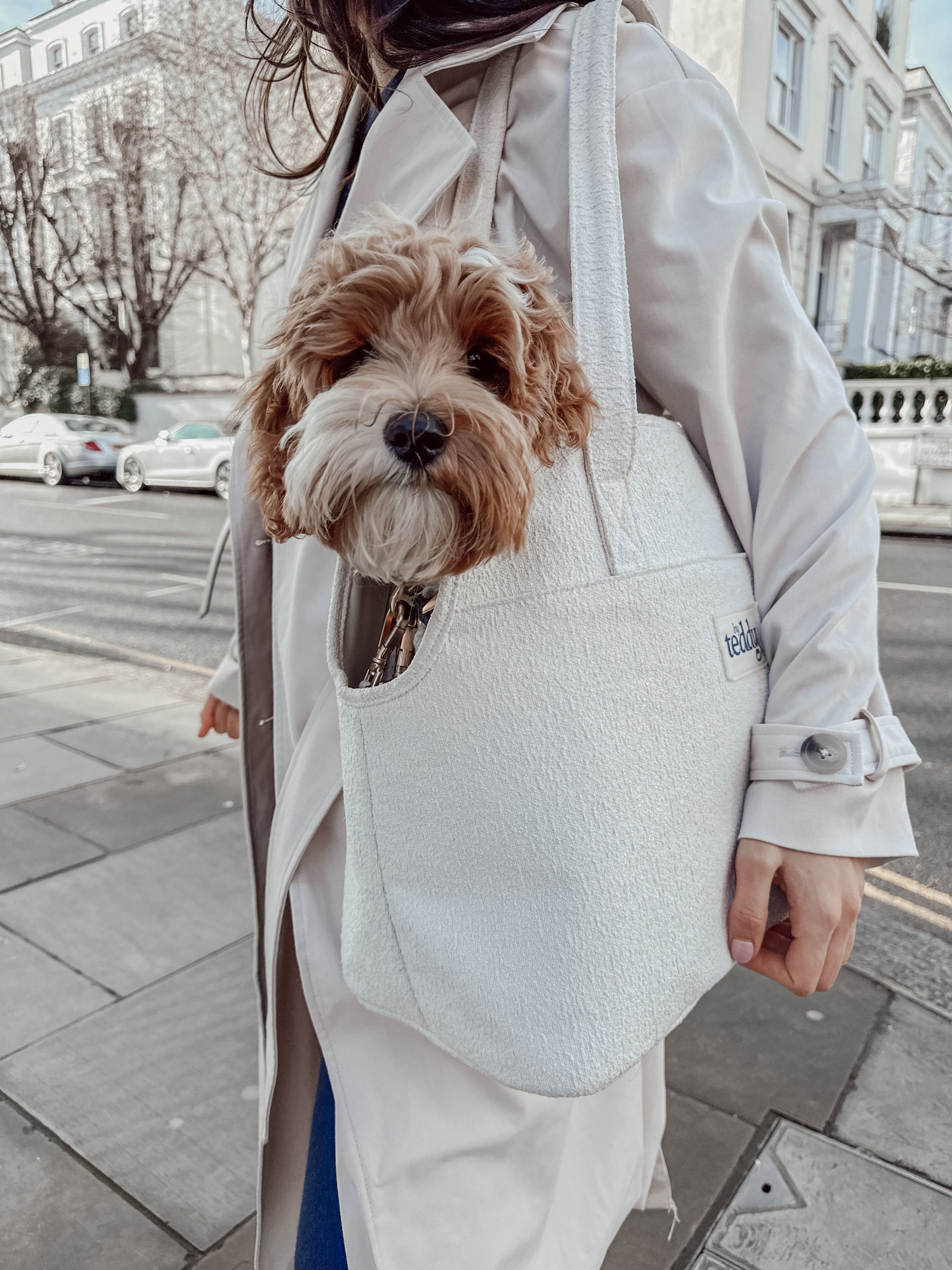 Shop All – By Teddy